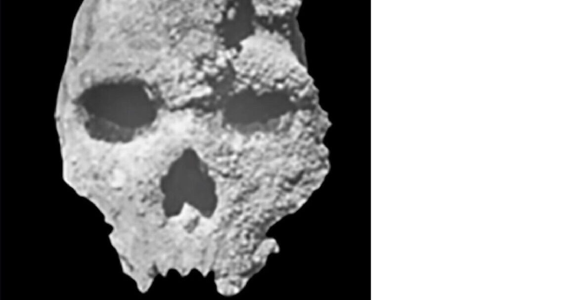 Misterioso cráneo de homínido griego datado en al menos 286.000 años ...